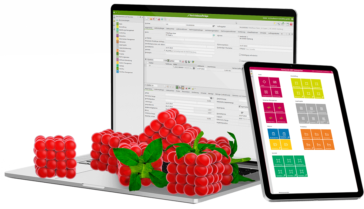 ERP-System mit Variantenmanagement für Fertiger – VlexPlus - Vlexplus